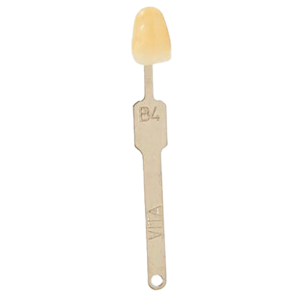 Goetze Dental. VITA Classical Shade Tabs, Individual B4